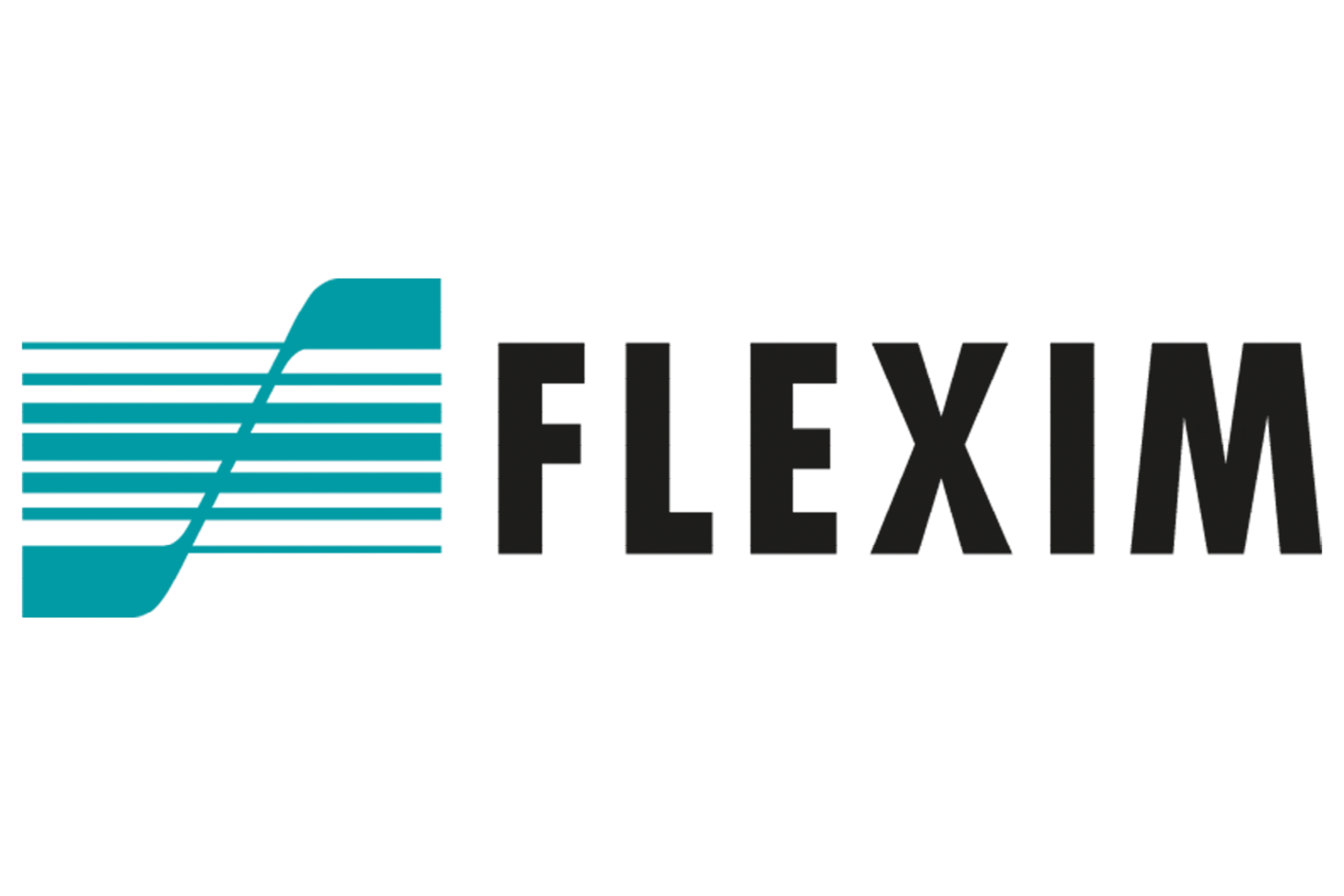 Flexim Ultrasonic